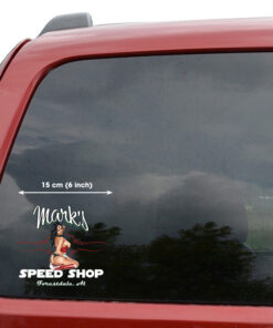 Speed Shop Wonder Woman Pin Up Girl Pinstripe Decals for Cars - Dingmun