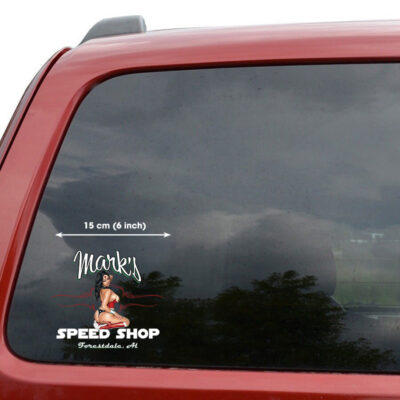 Speed Shop Wonder Woman Pin Up Girl Pinstripe Decals for Cars - Dingmun